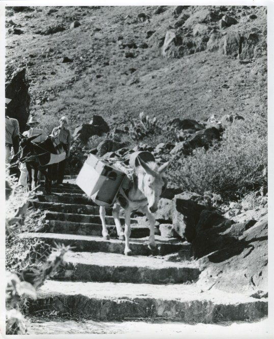 THE ROAD WHICH COULD NOT BE BUILT | The Saba Islander