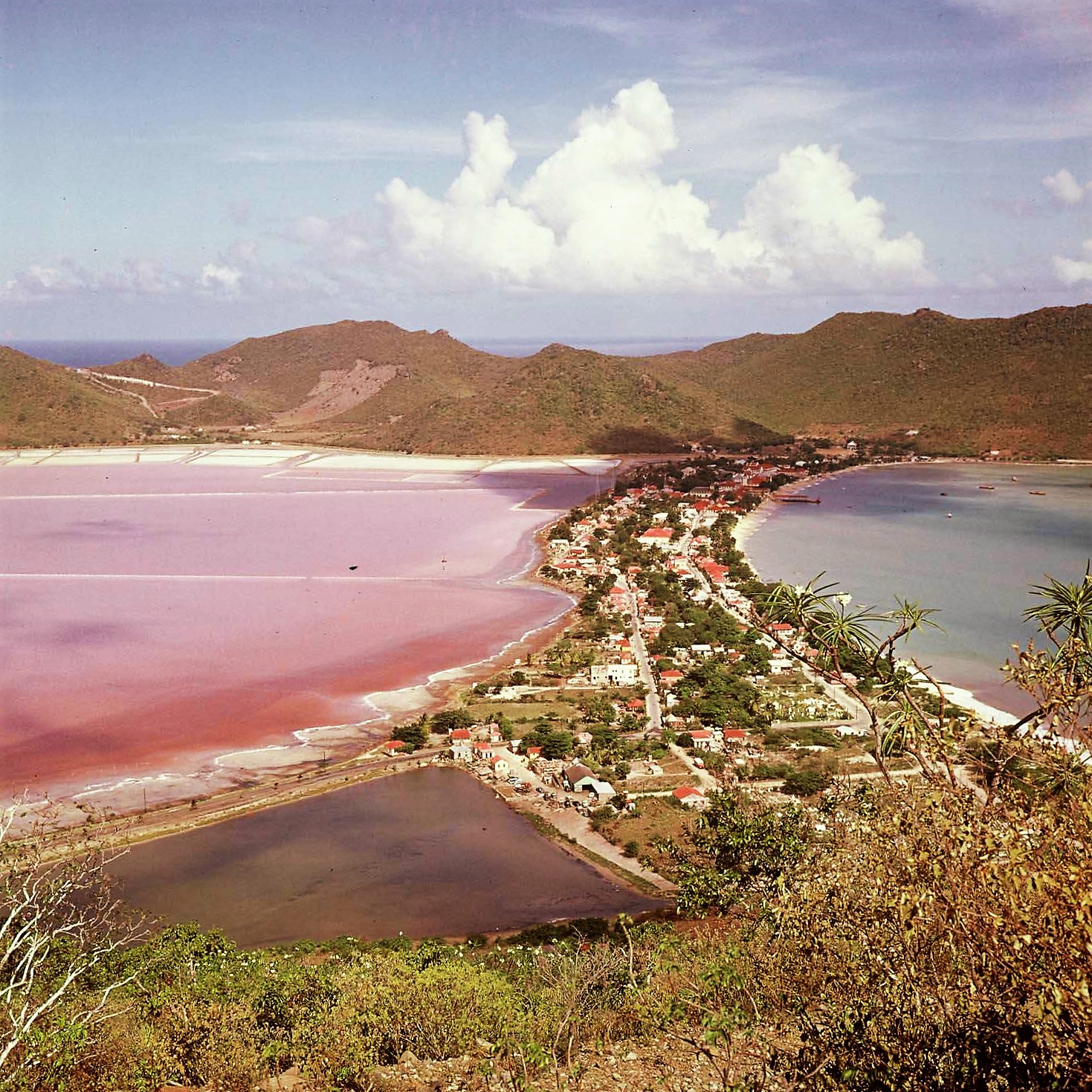 Attempts to revitalize the Salt Industry – THE SABA ISLANDER