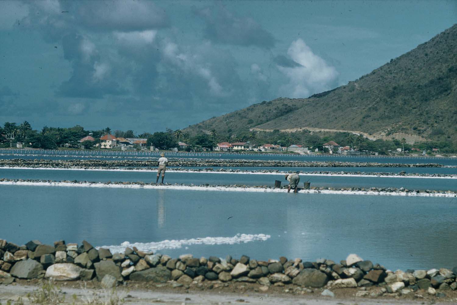 Attempts to revitalize the Salt Industry – THE SABA ISLANDER